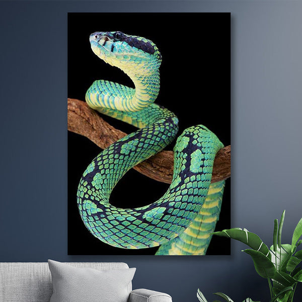 Schilderij Groene slang (Fotokunst) – Schilderijen.nl